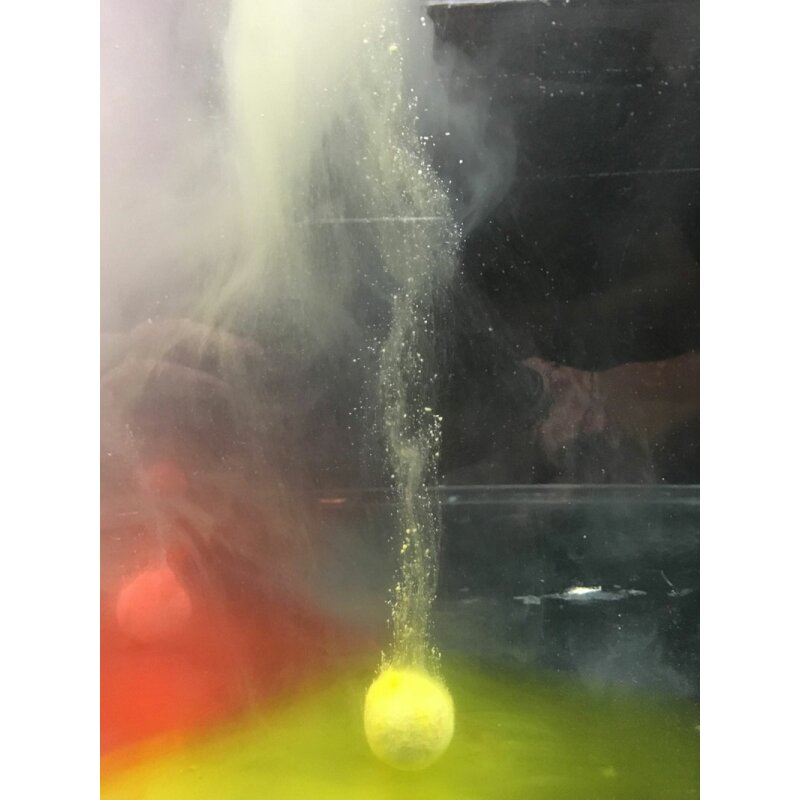 Proline Bait Steam, 14,99